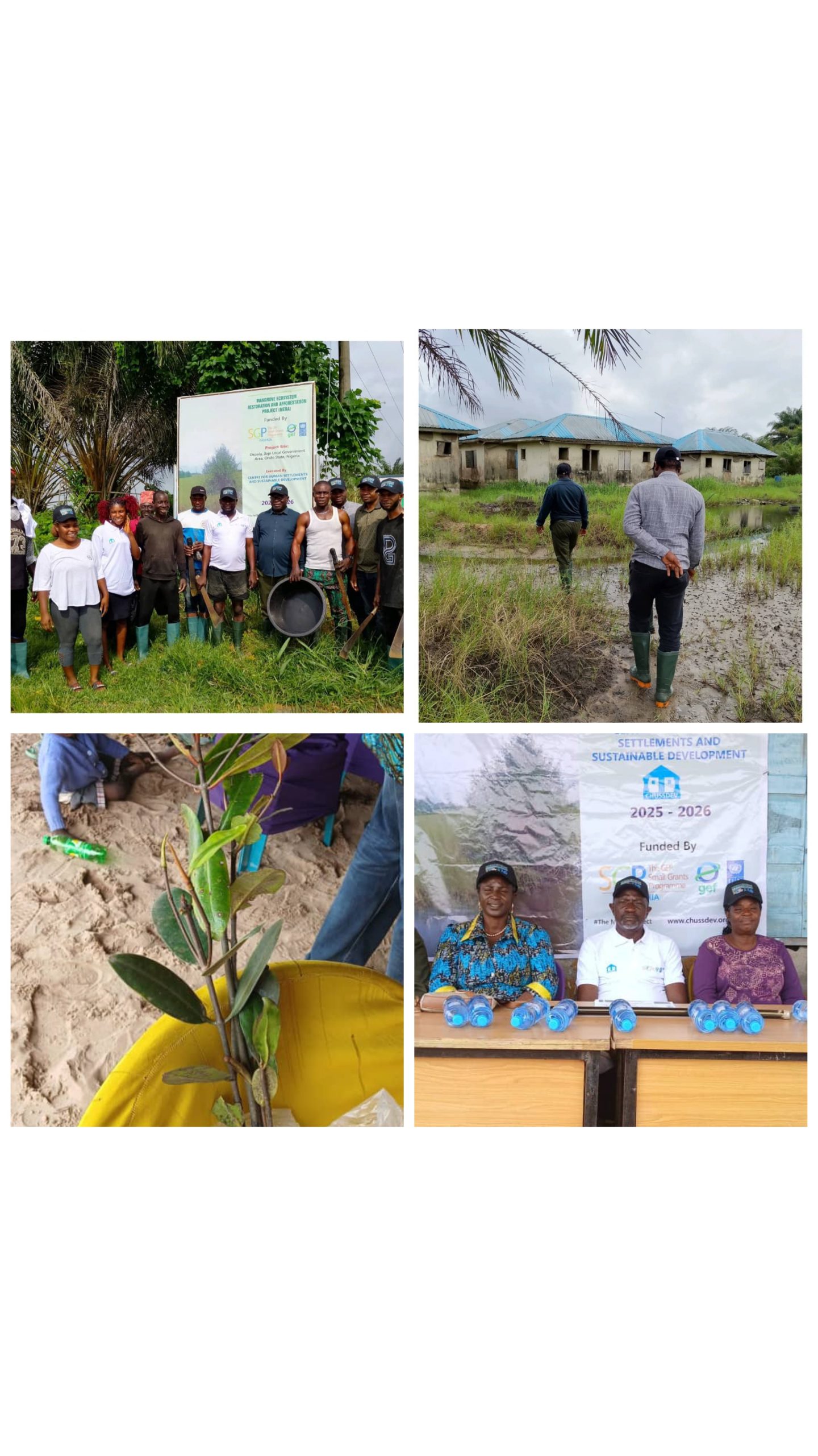Okonla Mangrove Restoration Project to Sequester 10,000 Metric Tonnes ...